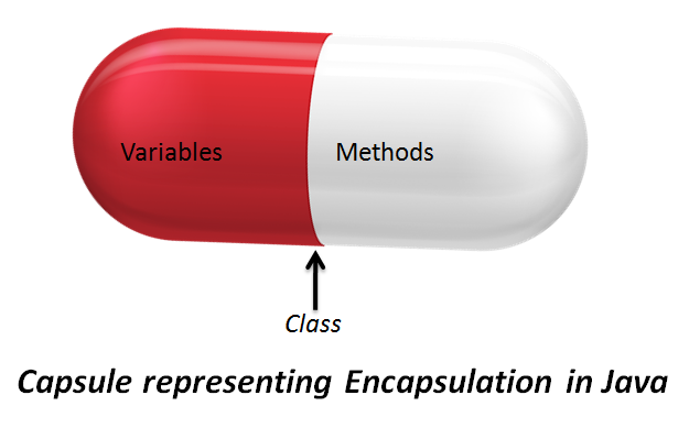 Encapsulating Data | Java Sertifikat Qeydlərim