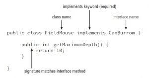 Java Interfaces | Java Sertifikat Qeydlərim